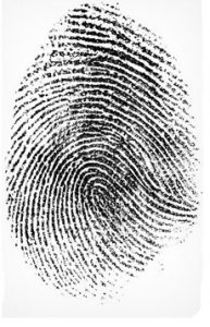 Fingerprint Expert Lifting Delhi on different surfaces Meerut ...